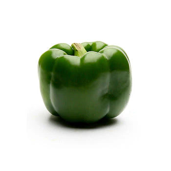 GREEN PEPPER – USA Produce